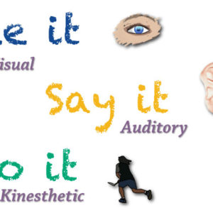 Individual Differences and Their Impact on Learning Styles - Research ...