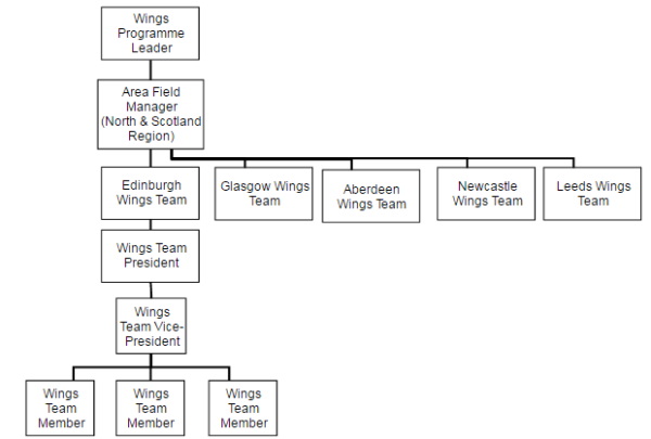 Red Bull Organizational Structure - Research-Methodology