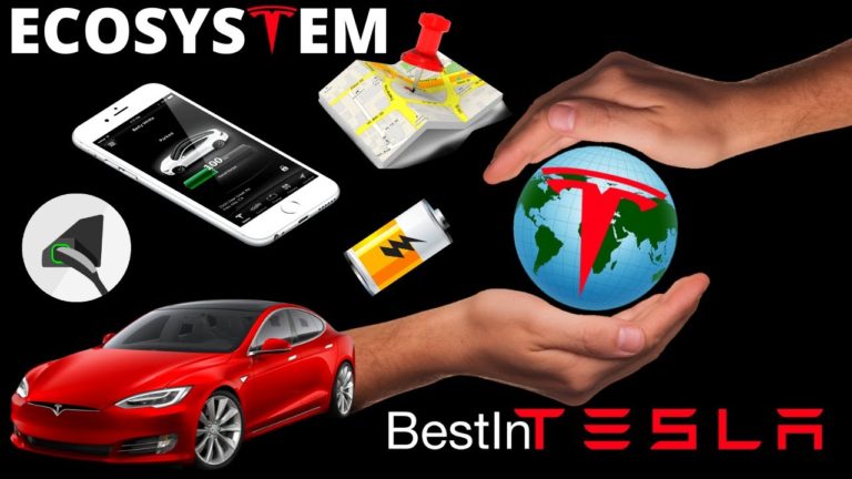 Tesla Ecosystem: great opportunities - Research-Methodology