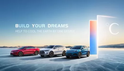 BYD Marketing Strategy Overview - Research-Methodology